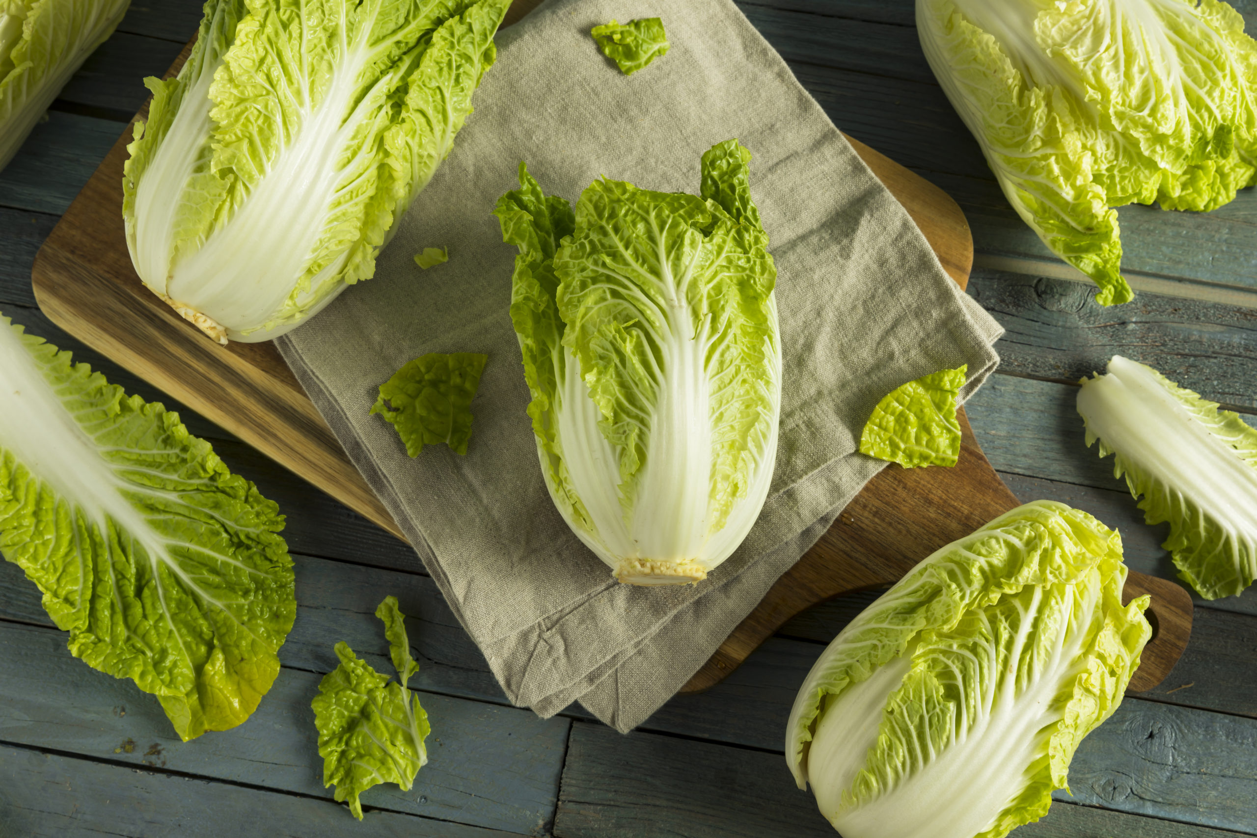 Napa Cabbage - McCaffrey's Food Markets of SE PA and Central NJ